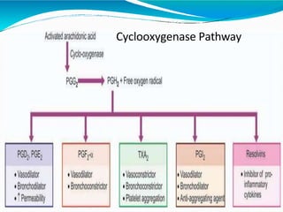 Mediators of inflammation | PPTX
