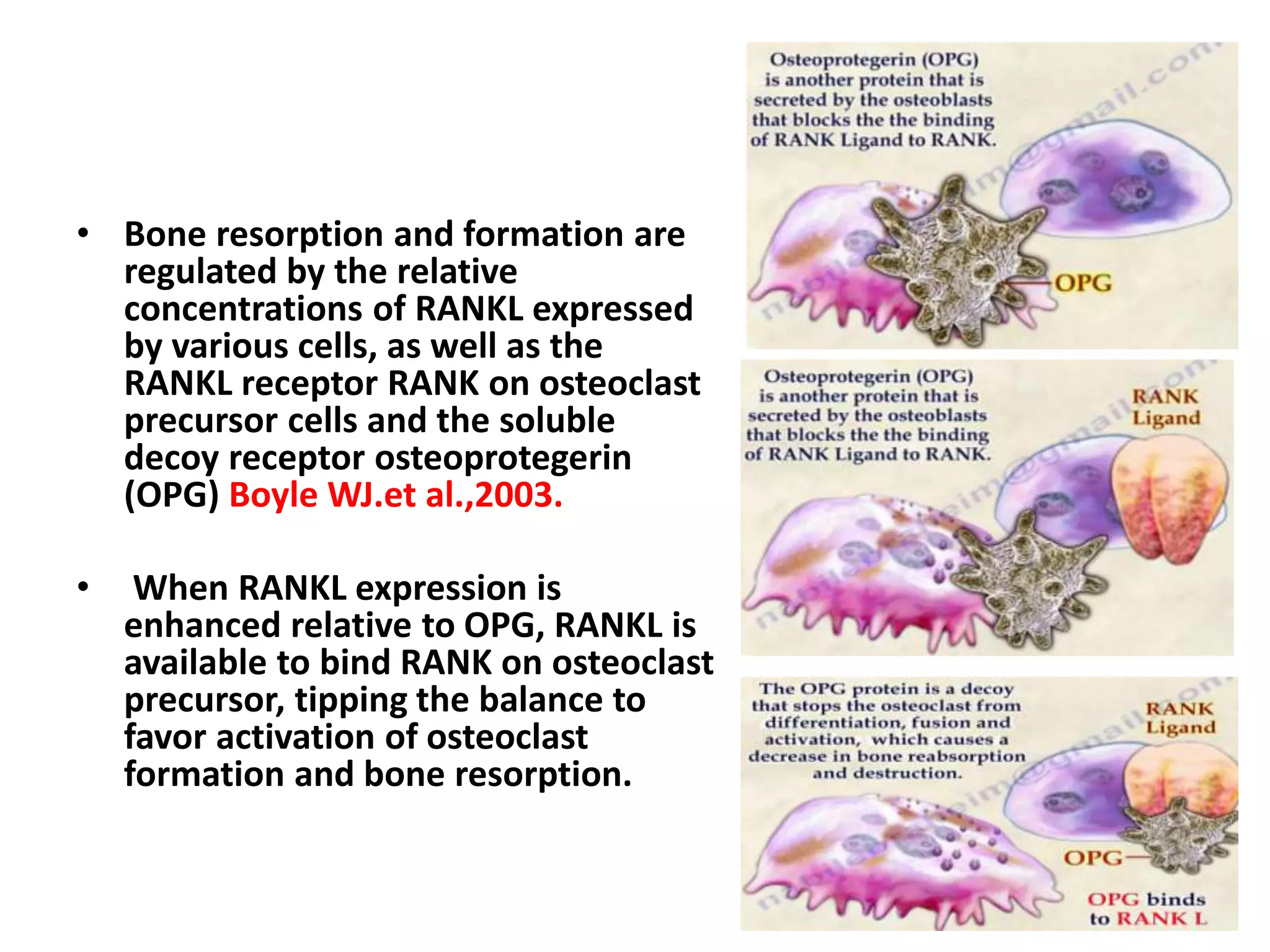 Mediators of Periodontal Osseous Destruction.pptx