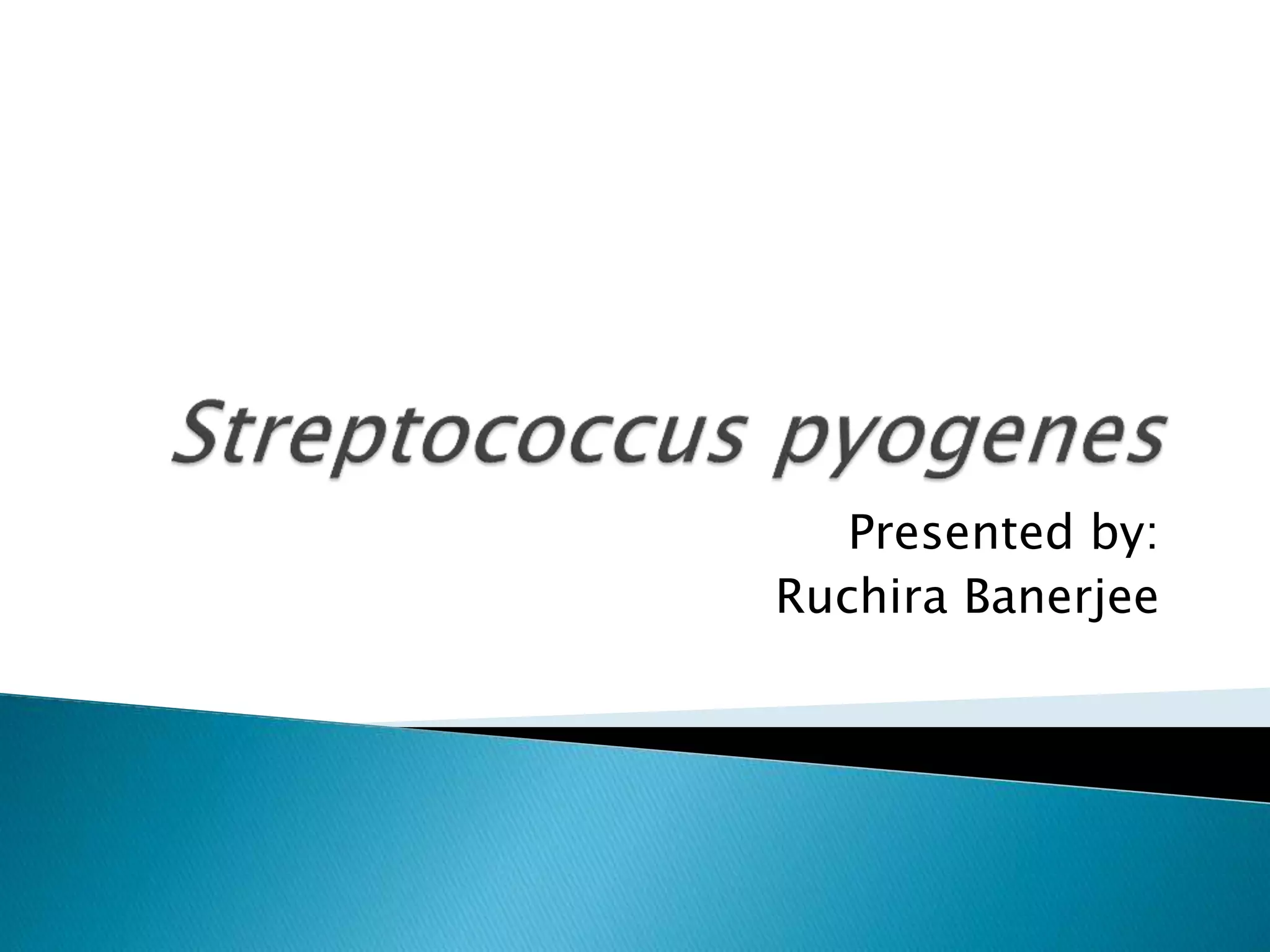 Streptococcus pyogenes | PPTX