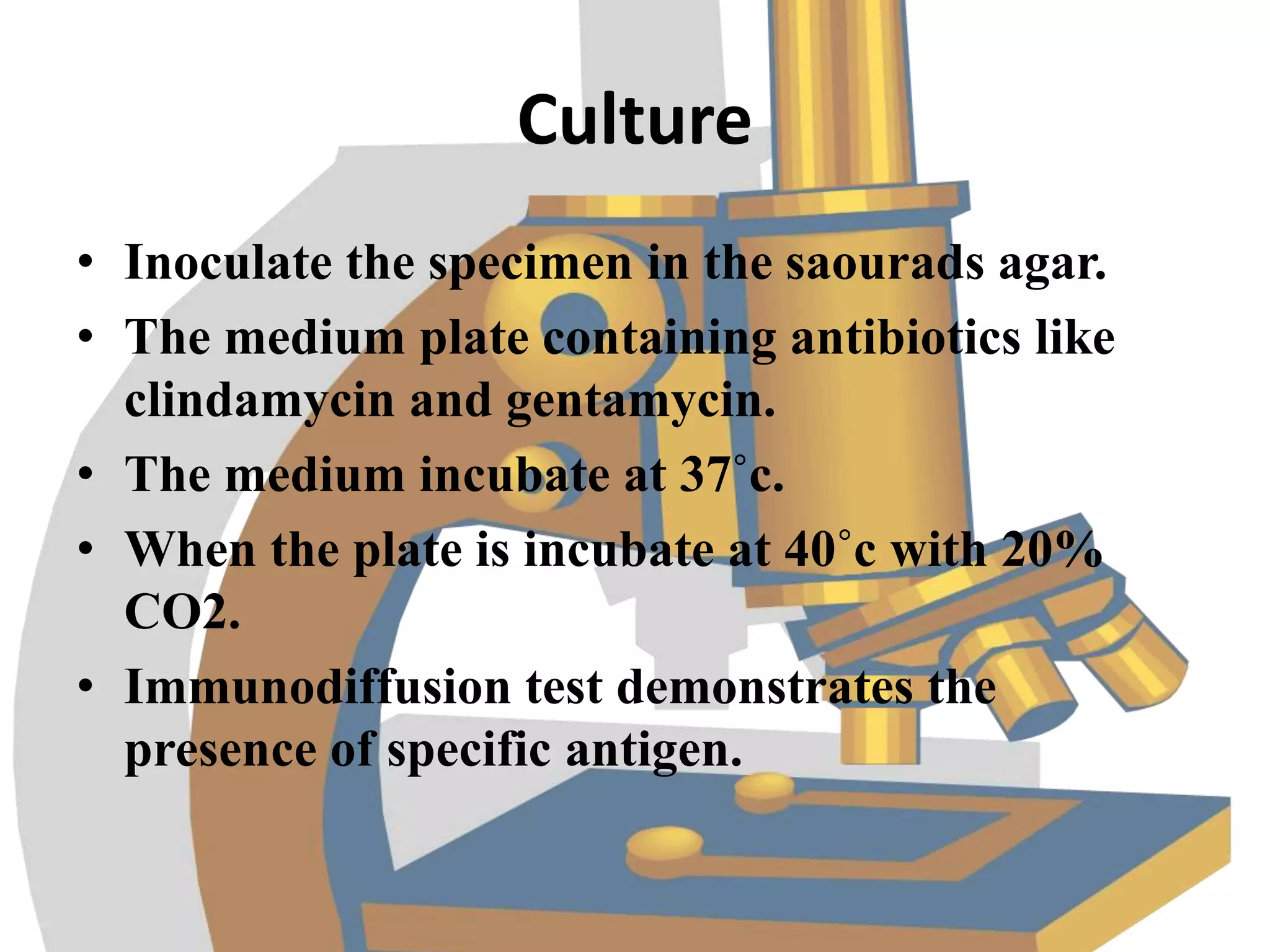 Medical microbiology | PPT