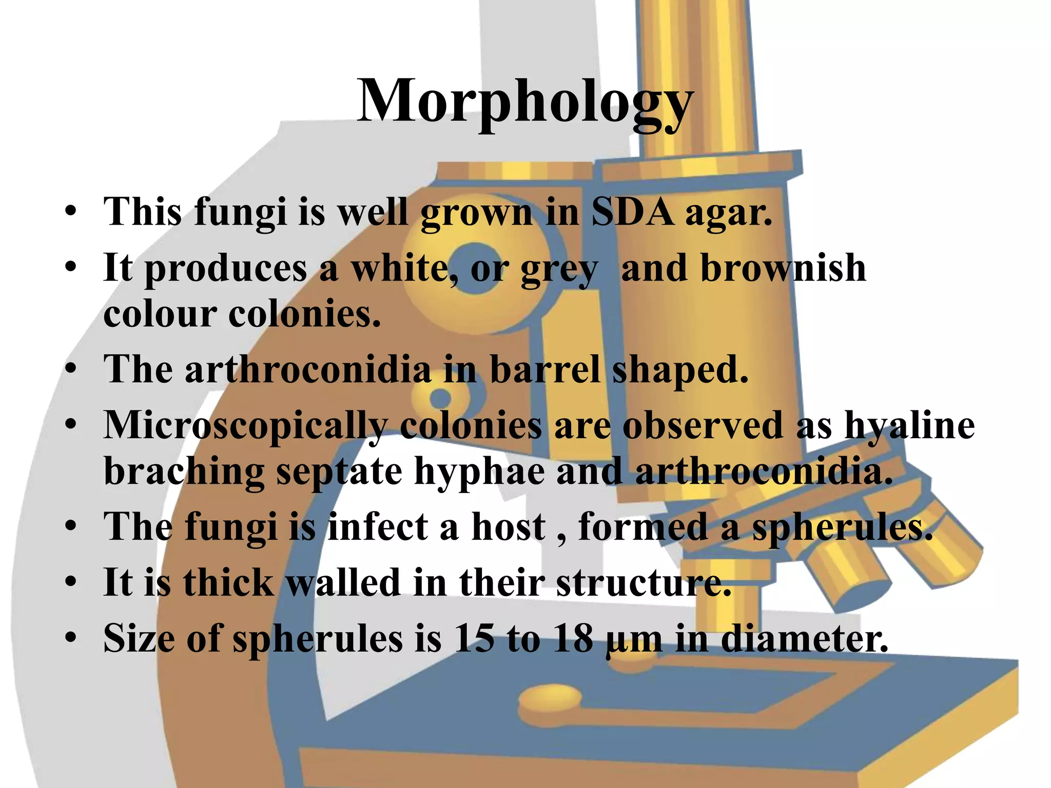 Medical microbiology | PPT