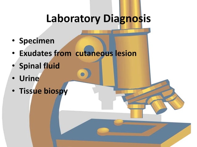 Medical microbiology | PPT