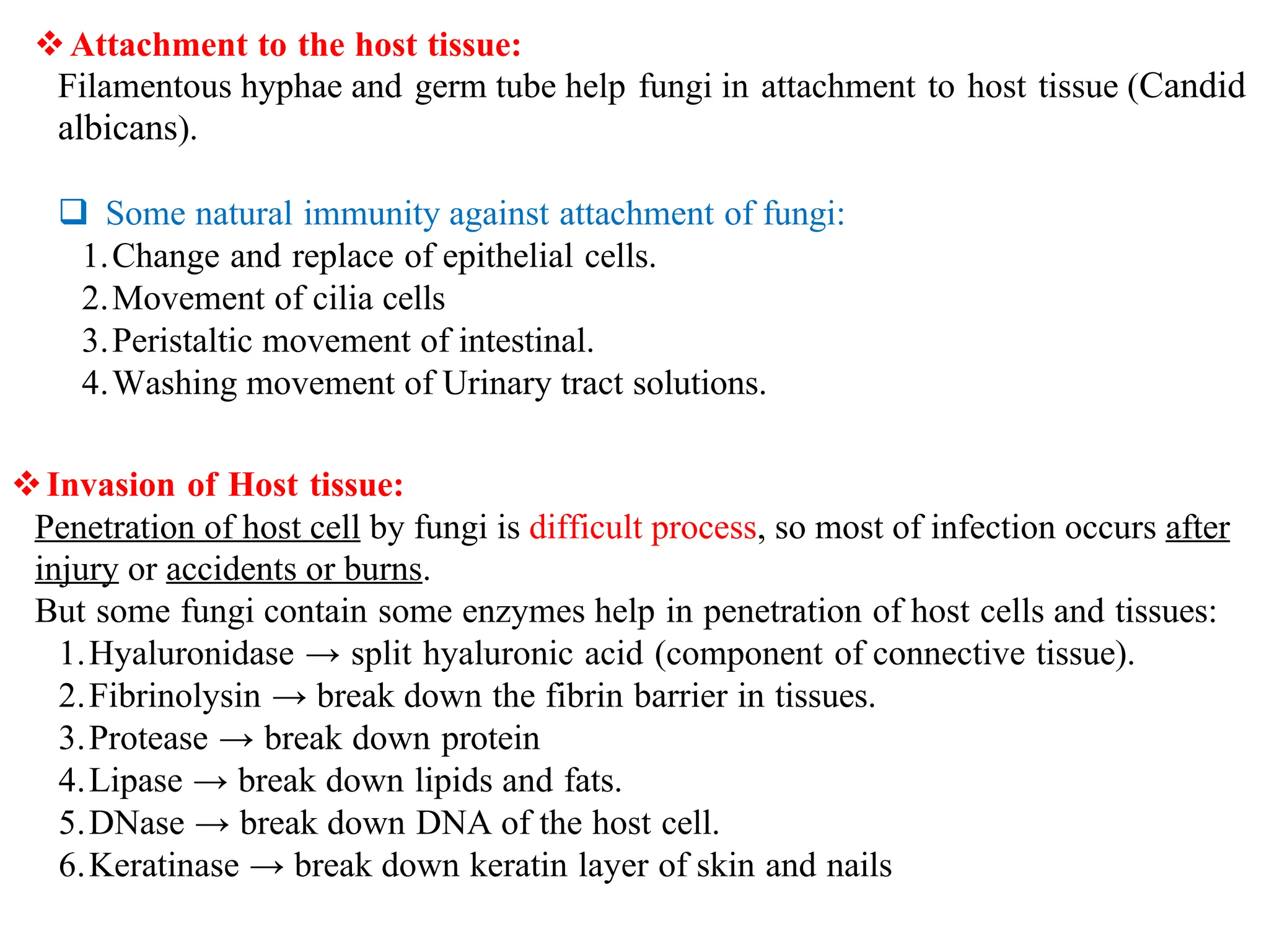 Introduction to medical mycology 3rd level.docx