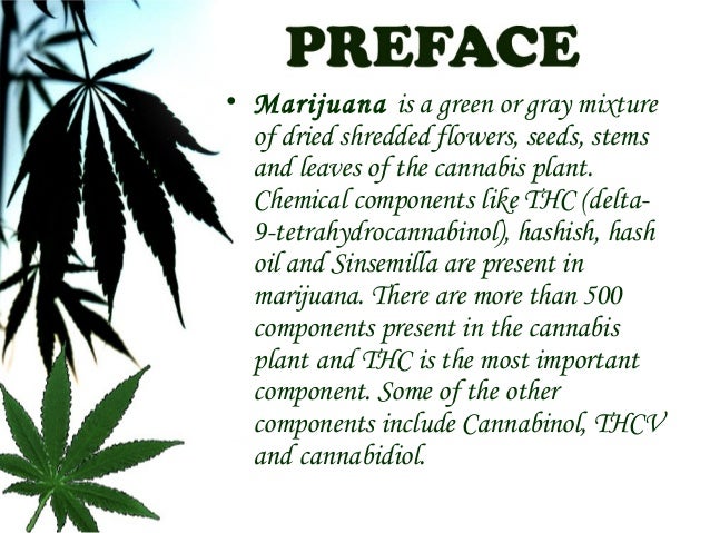 Medical Cannabis and its Types