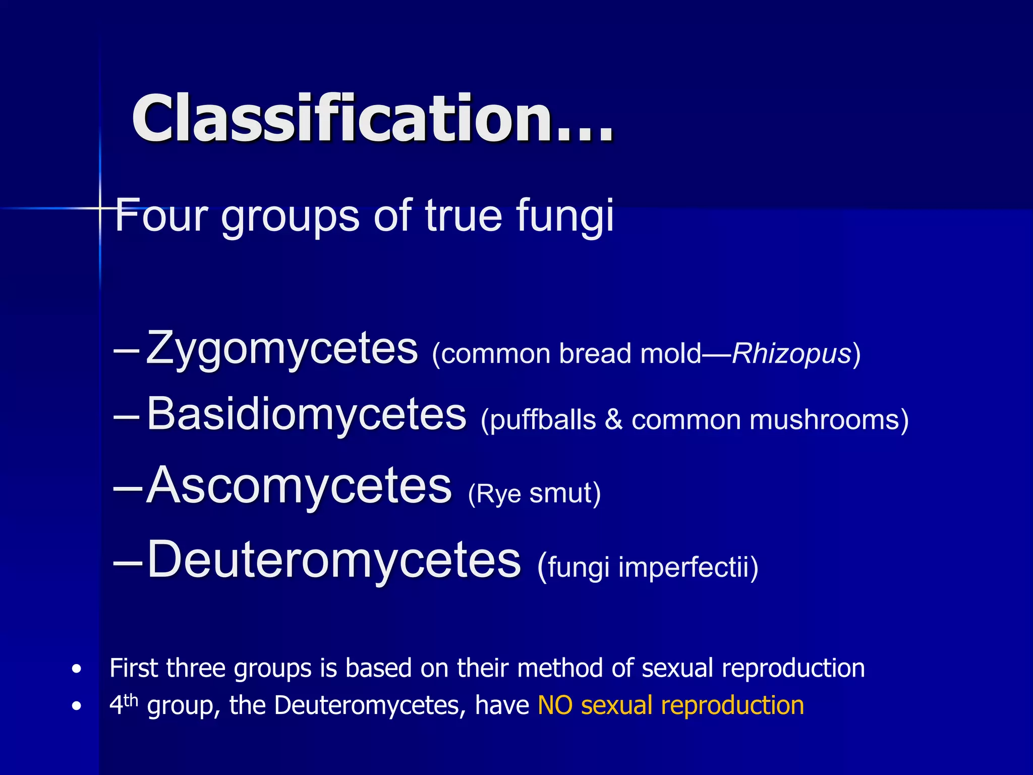Introduction to Medical mycology | PPTX | Chemistry | Science