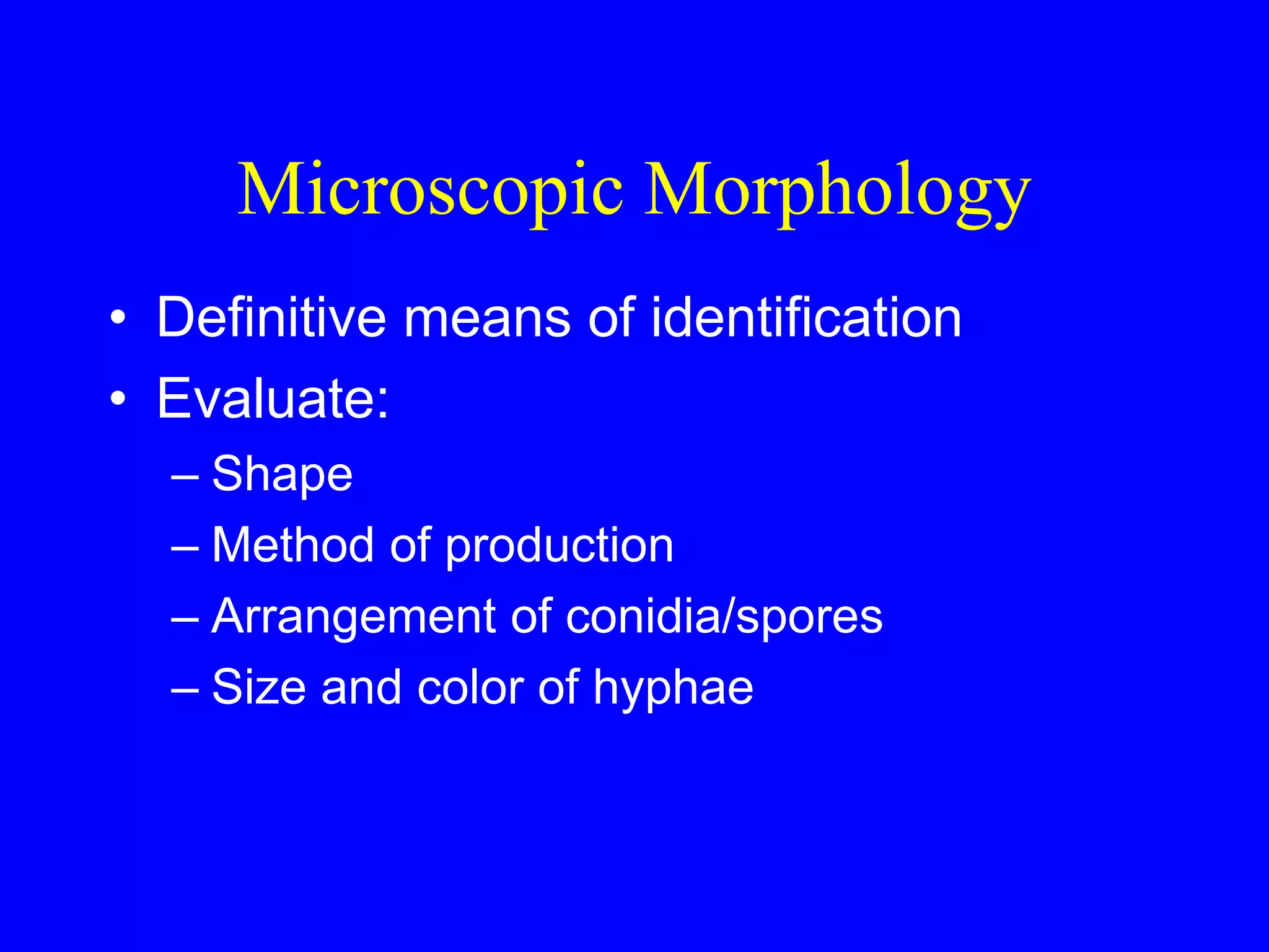 Introduction to Medical mycology | PPTX