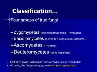 Introduction to Medical mycology | PPTX