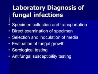 Introduction to Medical mycology | PPTX