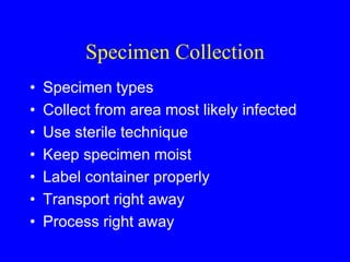 Introduction to Medical mycology | PPTX