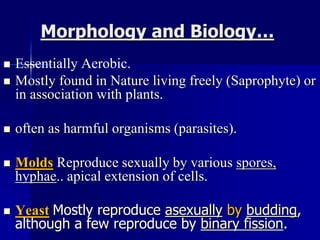 Introduction to Medical mycology | PPTX