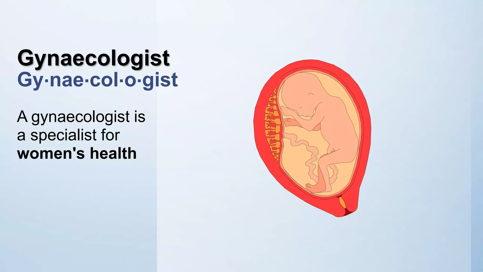 medical-specialists-pronunciation-exercises-phonics-reading-comprehens ...