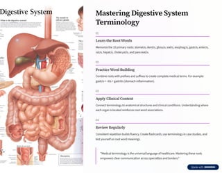 Comprehensive Medical Terminology of the Digestive System for ...