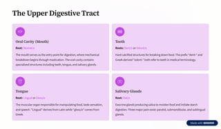 Comprehensive Medical Terminology of the Digestive System for ...
