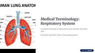 Comprehensive Medical Terminology Guide for Respiratory System Anatomy ...