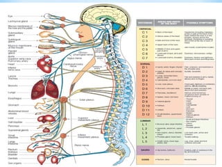 Sahajayoga And Enlighten Brain System | PPT