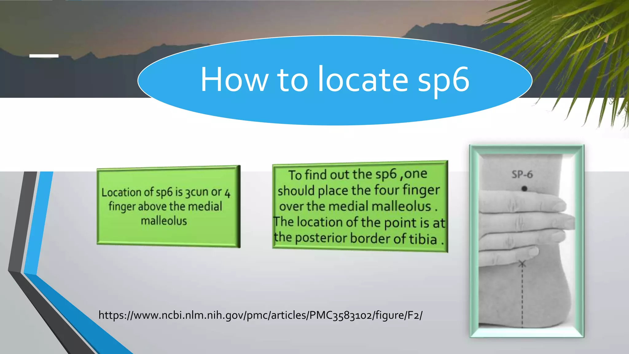 Medical acupuncture understanding the location and the utility of sp6 | PPT