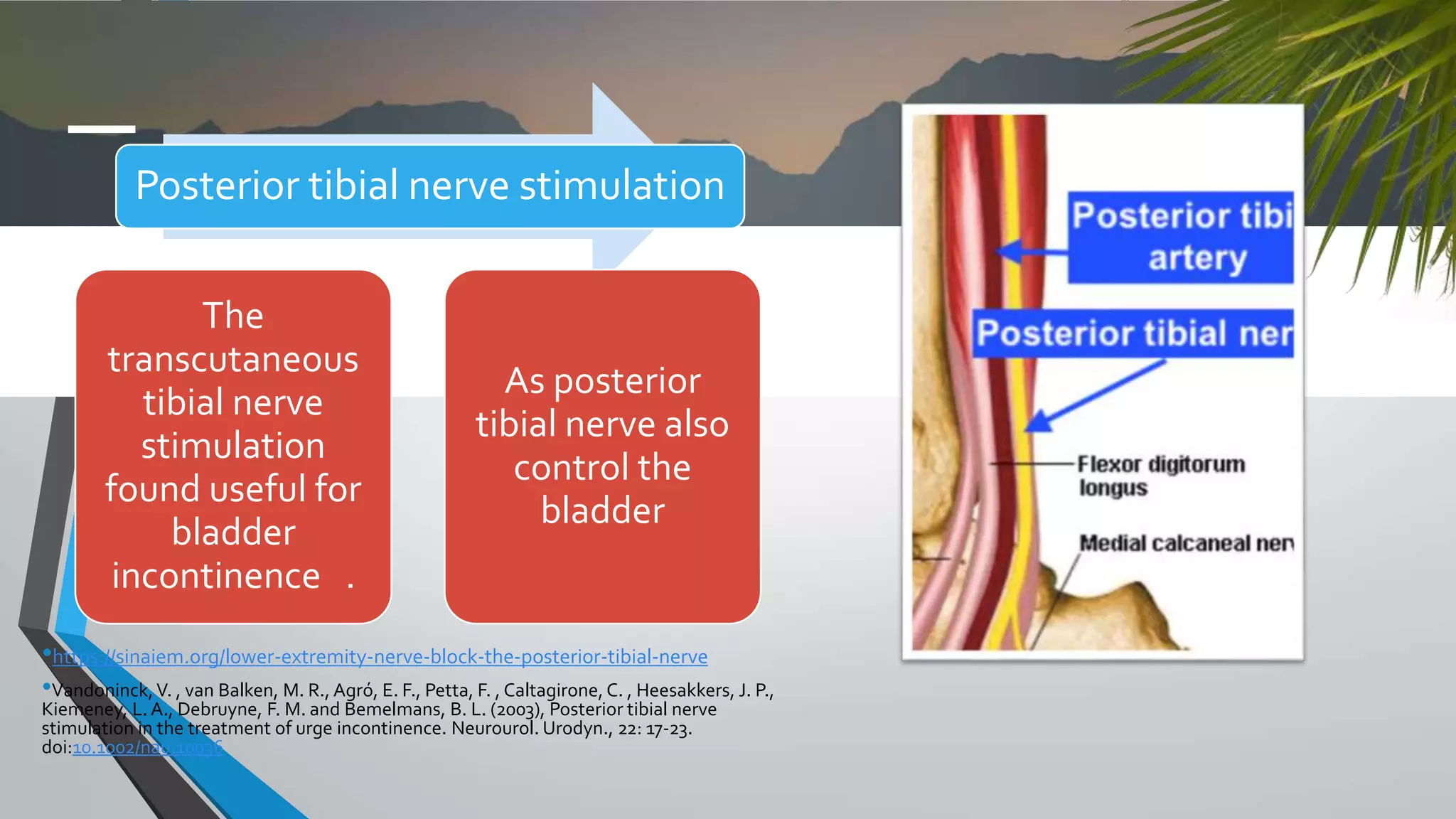 Medical acupuncture understanding the location and the utility of sp6 | PPT