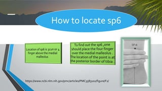 Medical acupuncture understanding the location and the utility of sp6 | PPT