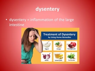 Medical and legal latin dys and cide | PPT