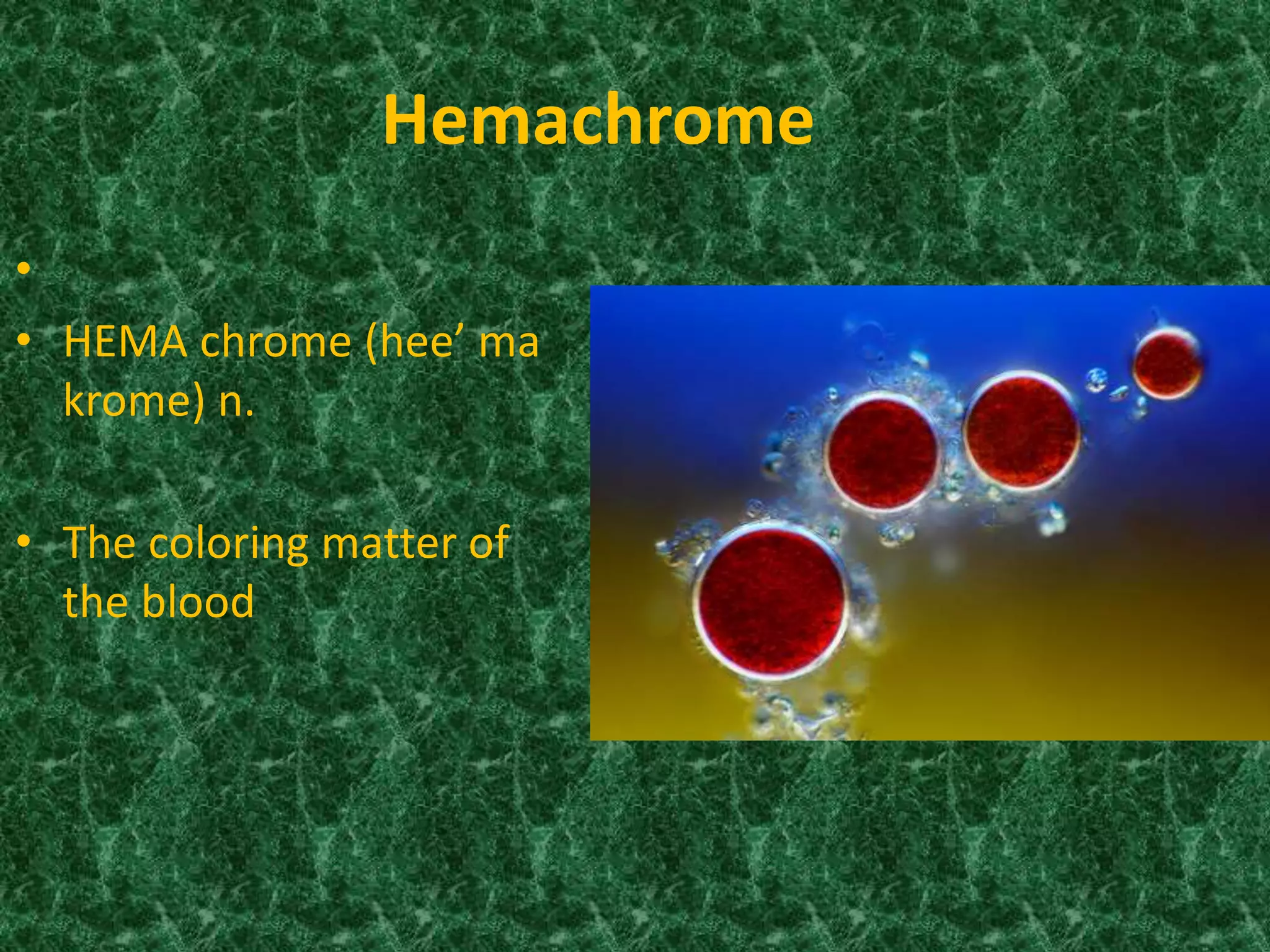 Medical and Legal Latin from Ancient Greek : hemo and more | PPTX