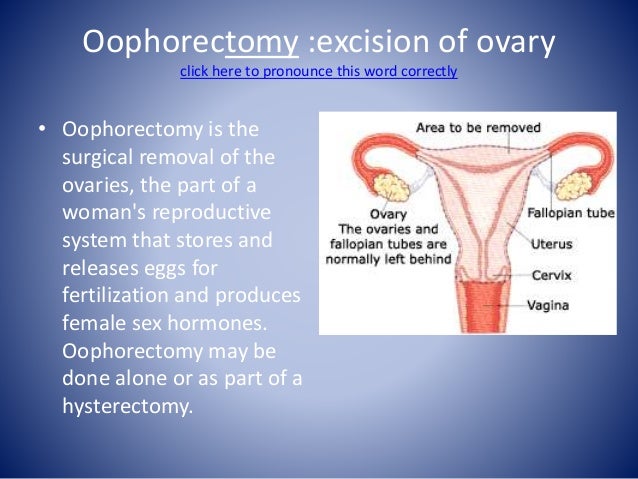 Medical and legal terms