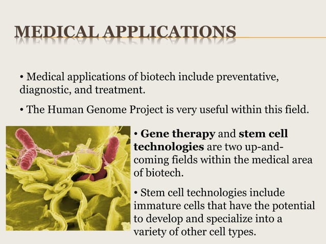 Medical Applications of Biotech | PPT