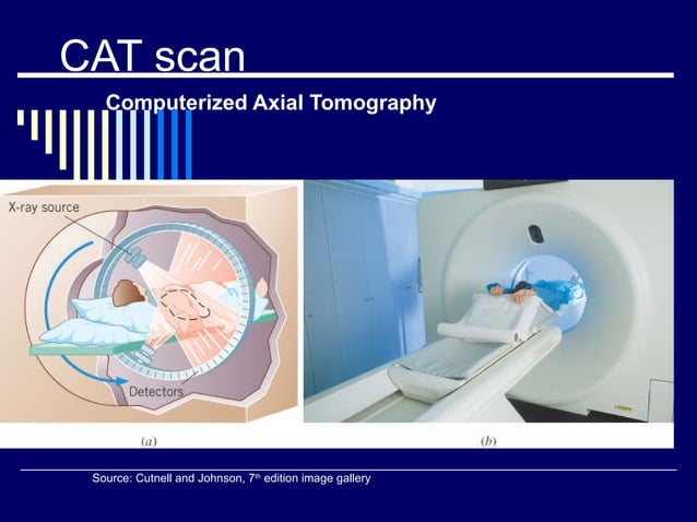 Medical applications of nuclear physics | PPT | Medical Tests | Medical ...