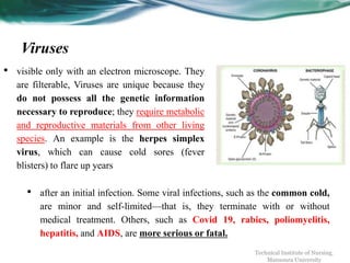 Medical A sepsis.pptx, walaa, 2023.pptx