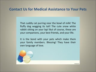 Medical assistance to your pets | PPT