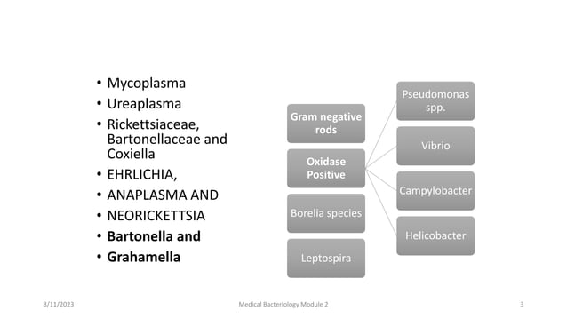 Medical Bacteriology.pptx
