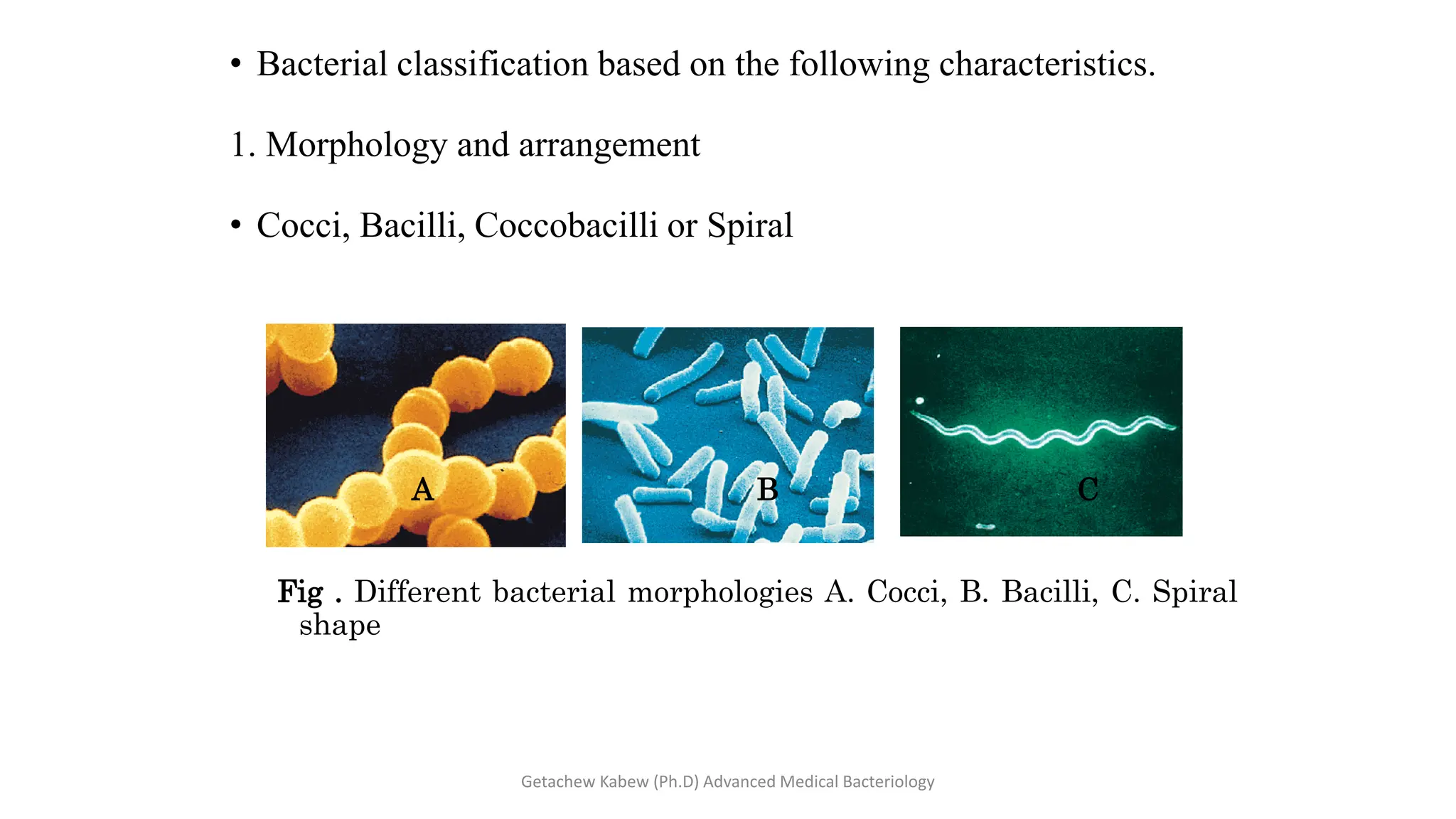 Advanced Medical Bacteriology all in one.pptx