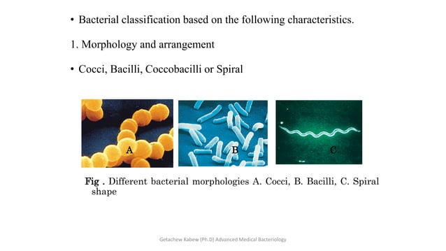 Advanced Medical Bacteriology all in one.pptx