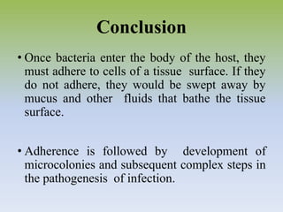 MEDICAL BACTERIOLOGY LECTURE.pptx