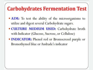 Medical Bacteriology Rithi.pptx | Chemistry | Science