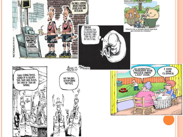 Medical Benefits Of Cloning | PPT | Infertility | Reproductive Health