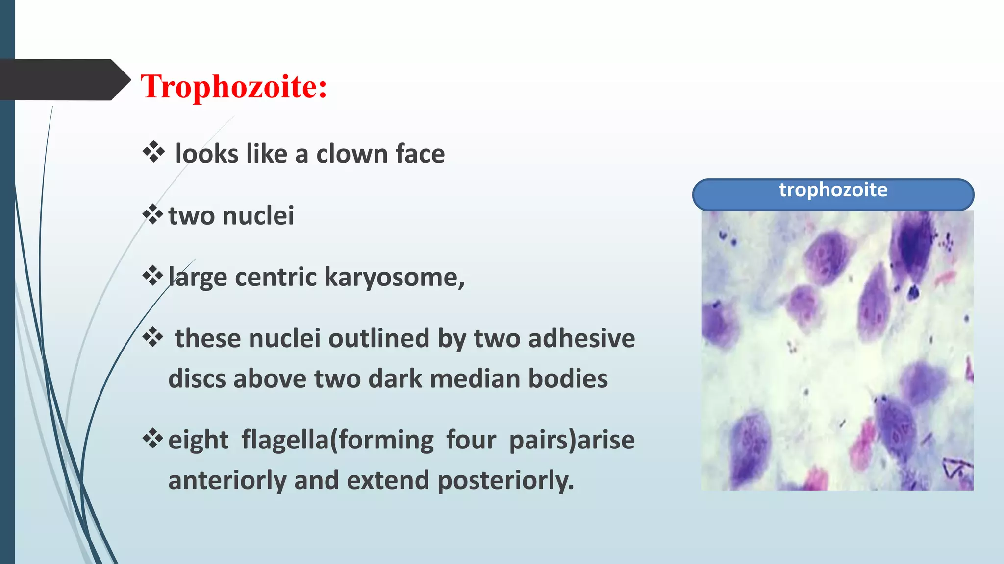 Medical Biology Lab. 10.pdf