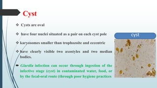 Medical Biology Lab. 10.pdf