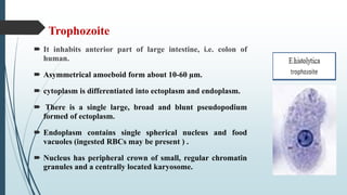 Medical Biology Lab. 10.pdf