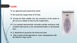 Medical Biology Lab. 10.pdf