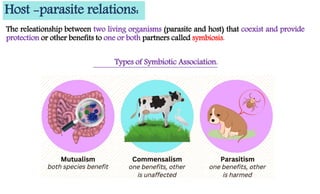 Presentation about Medical biology lec 7.pdf