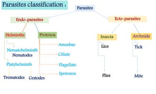 Presentation about Medical biology lec 7.pdf