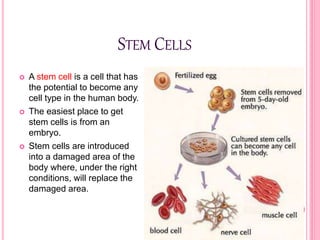 Medical biotechnology & its applications. | PPTX