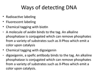 Medical Biotechnology lect ure 5.pptx