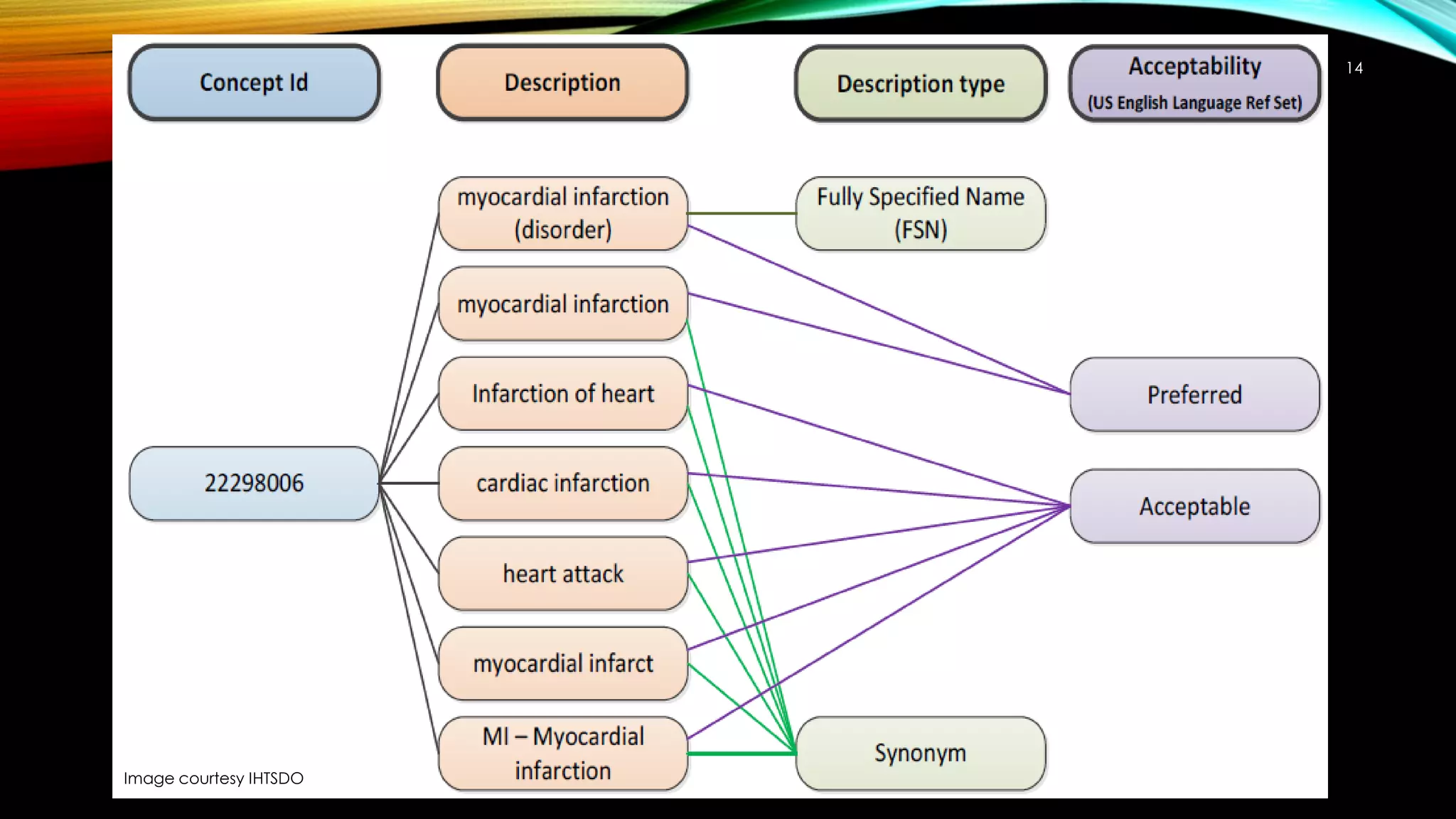 Medical classification coding vs clinical terminology coding | PPT