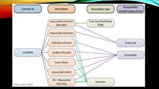 Medical classification coding vs clinical terminology coding | PDF