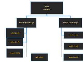 Medical Company Structure in Saudi arabia.pptx