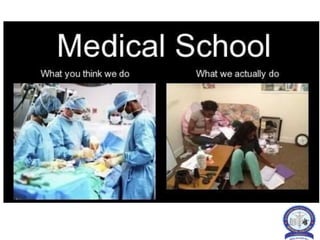 MEDICAL ELECTIVES.pptx
