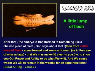 Medical embryology | PPT