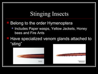 Medical entomology | PPT