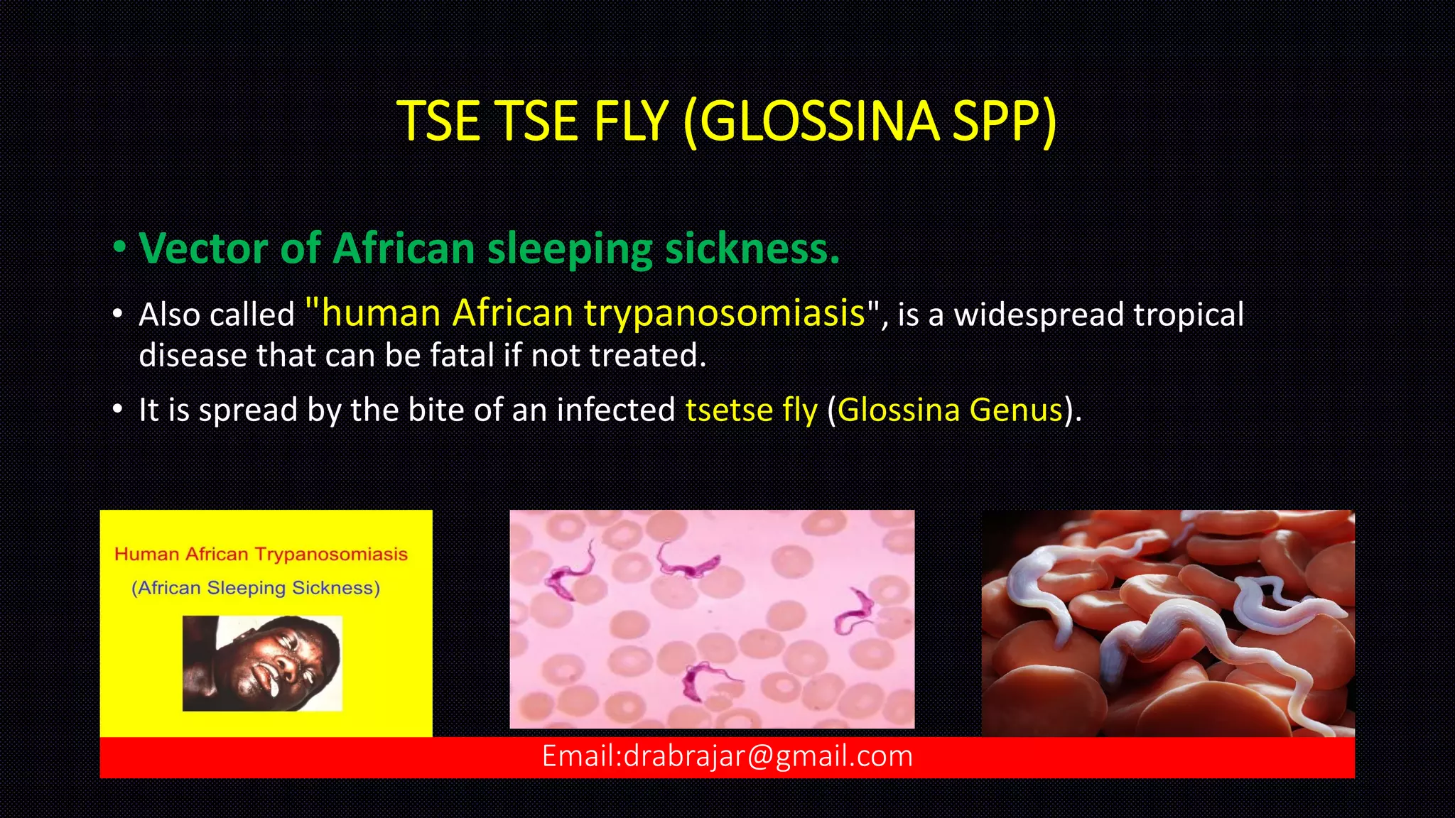 Medical entomology Lecture | PDF